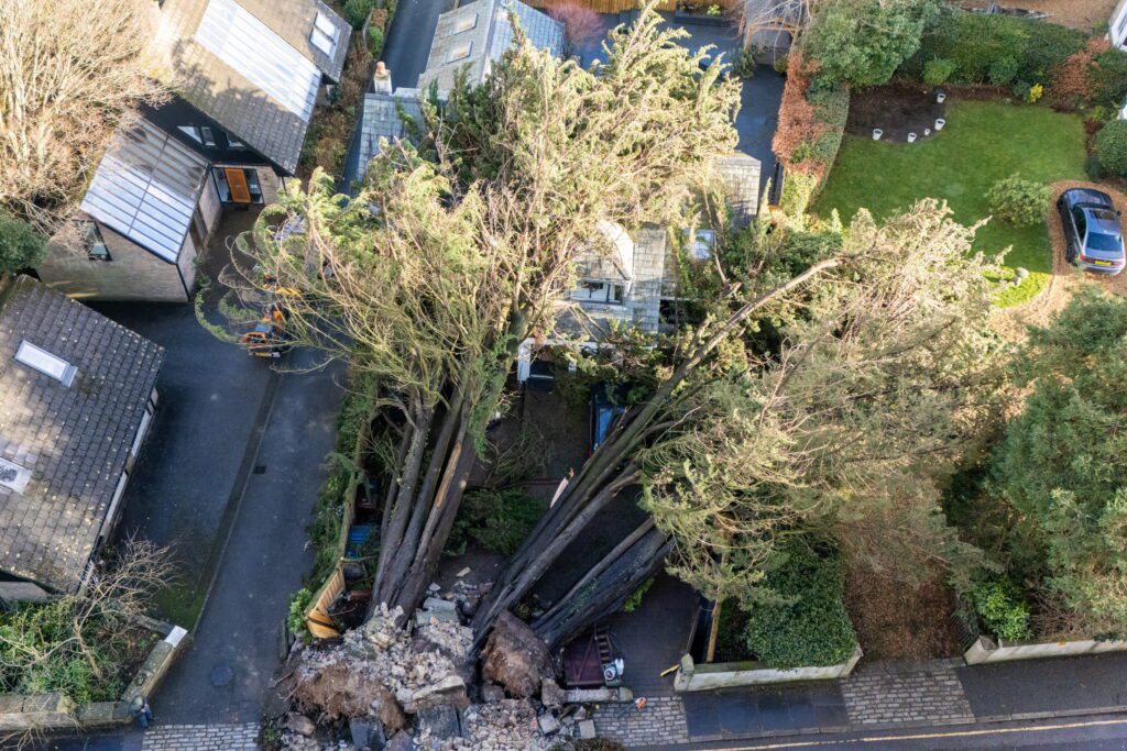Family shocked after three "massive" trees smash their home during ...